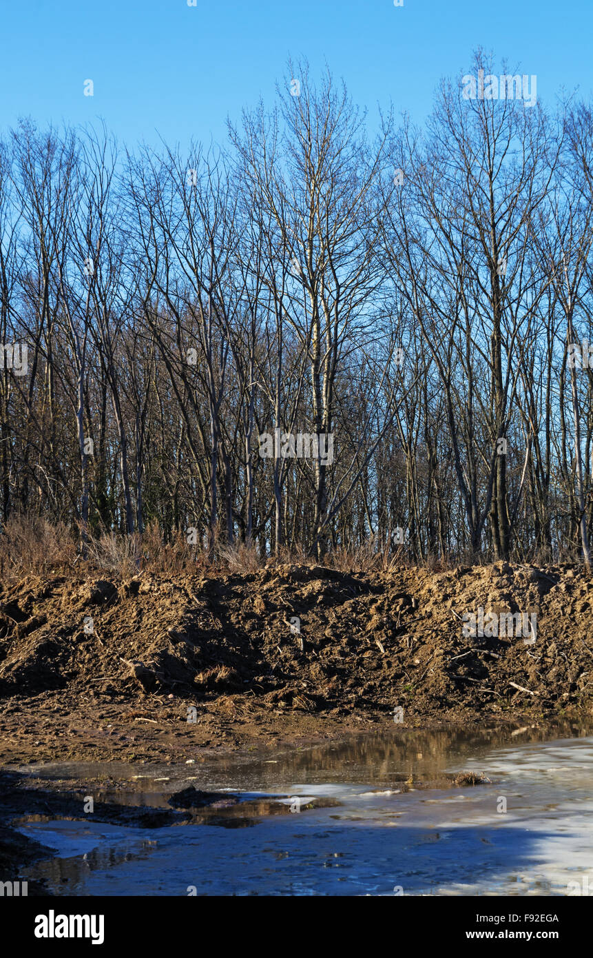 Spring landscape with water, ice and trees Stock Photo - Alamy