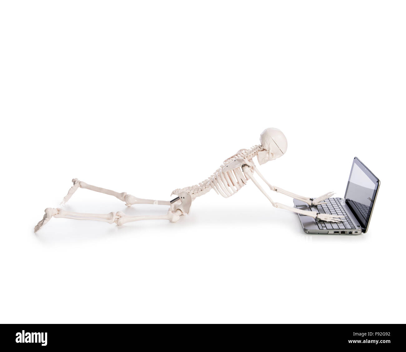 Skeleton working on laptop Stock Photo - Alamy