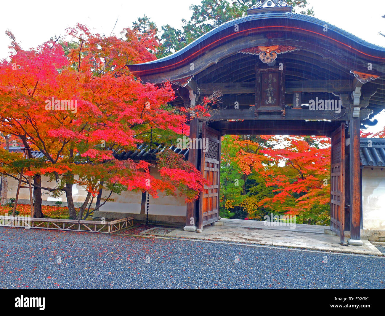 Nison in garden hi-res stock photography and images - Alamy