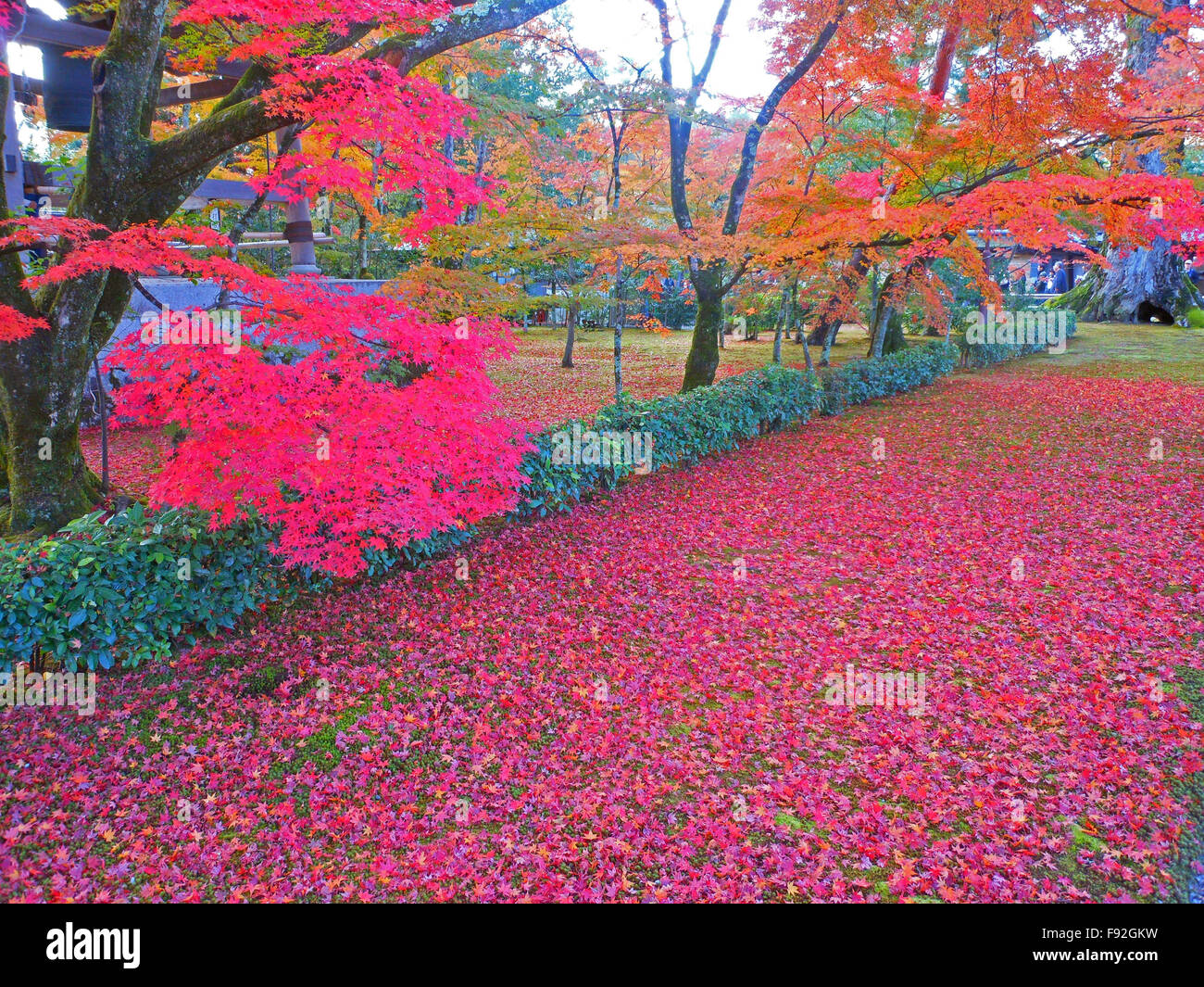 Hiking in kyoto hi-res stock photography and images - Alamy