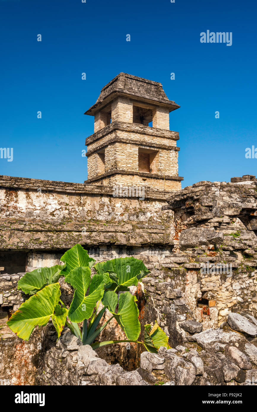 Observation Tower at El Palacio, Maya ruins at Palenque archaeological ...
