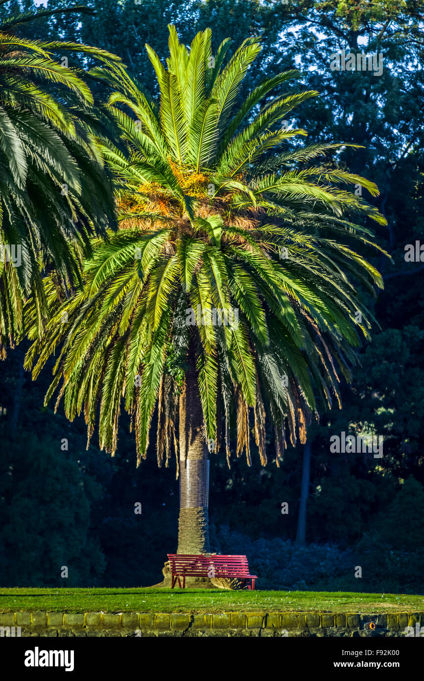 Melbourne botanic hi-res stock photography and images - Alamy
