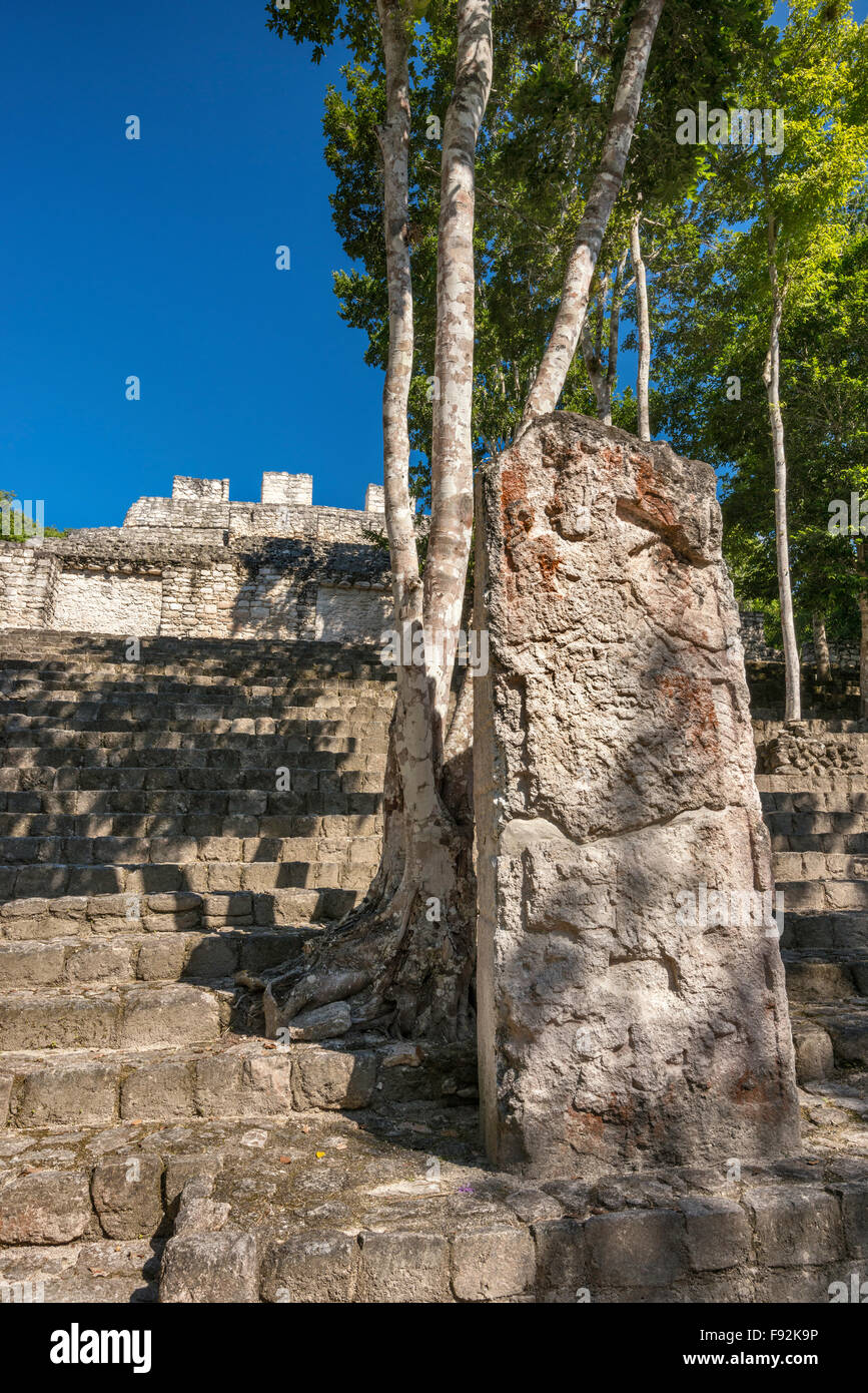 Stela at Estructura XIII pyramid, Maya ruins at Calakmul archaeological ...