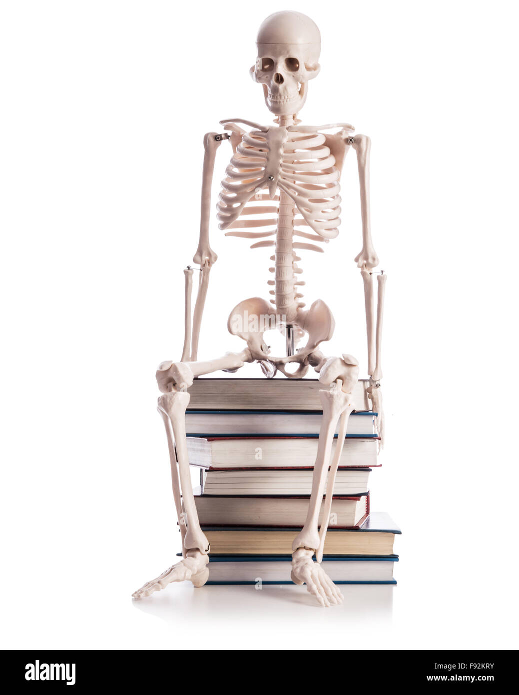Skeleton with books isolated on white Stock Photo - Alamy