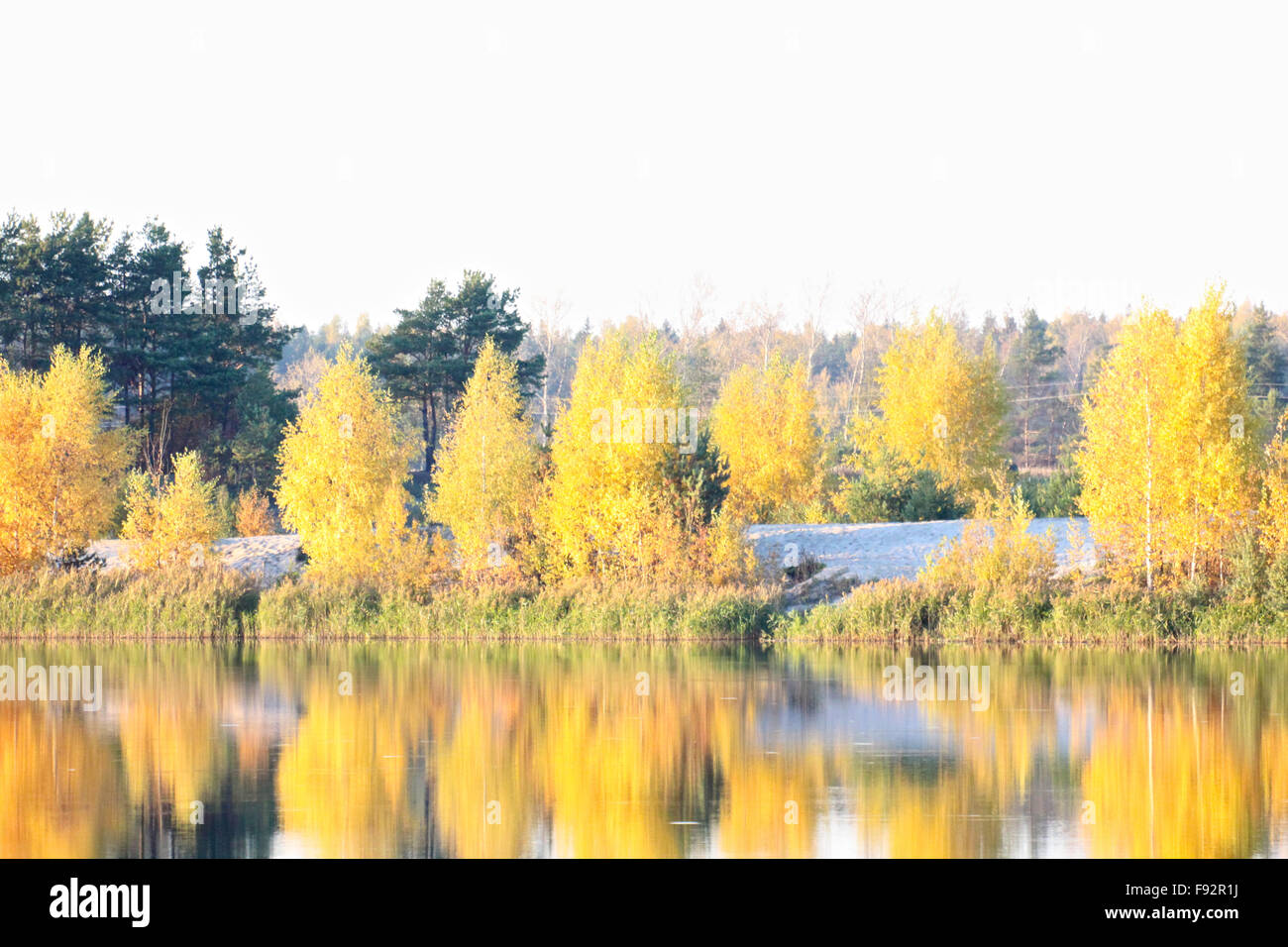 Colorful autumn trees fortress at the river front Stock Photo - Alamy