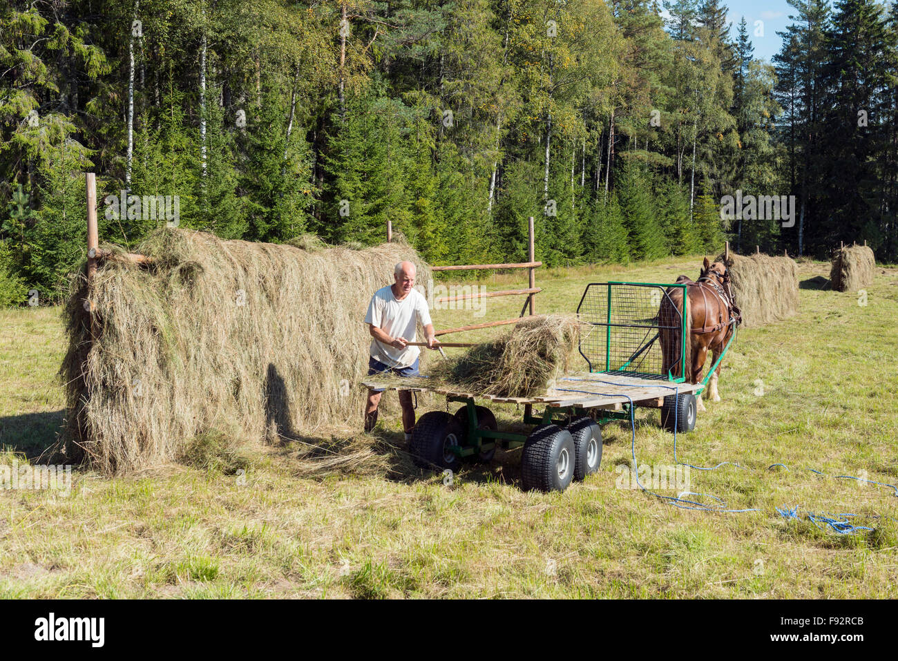Hay drying rack hi-res stock photography and images - Alamy