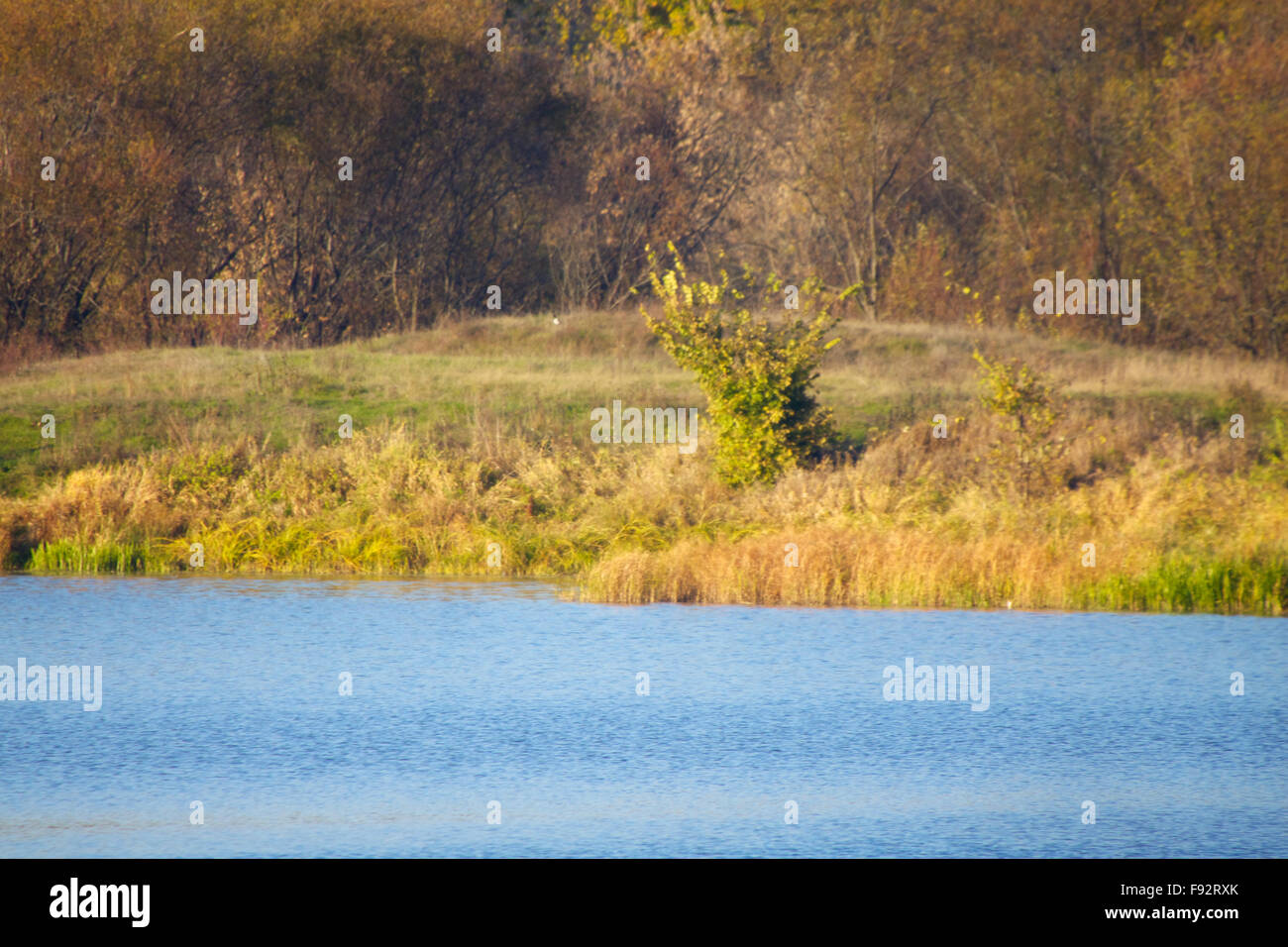 Colorful autumn trees fortress at the river front Stock Photo - Alamy