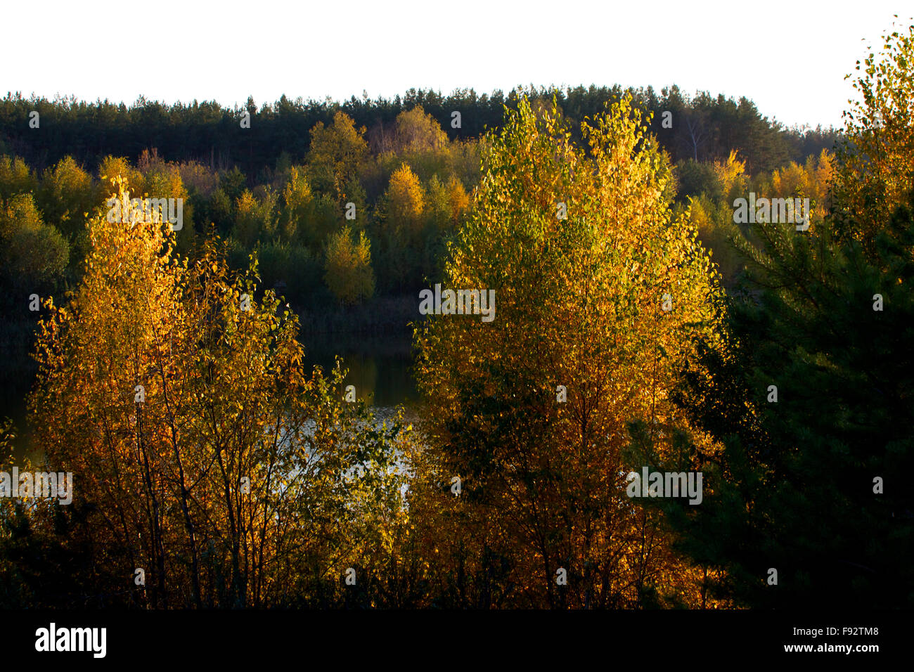 Colorful autumn trees fortress at the river front Stock Photo - Alamy