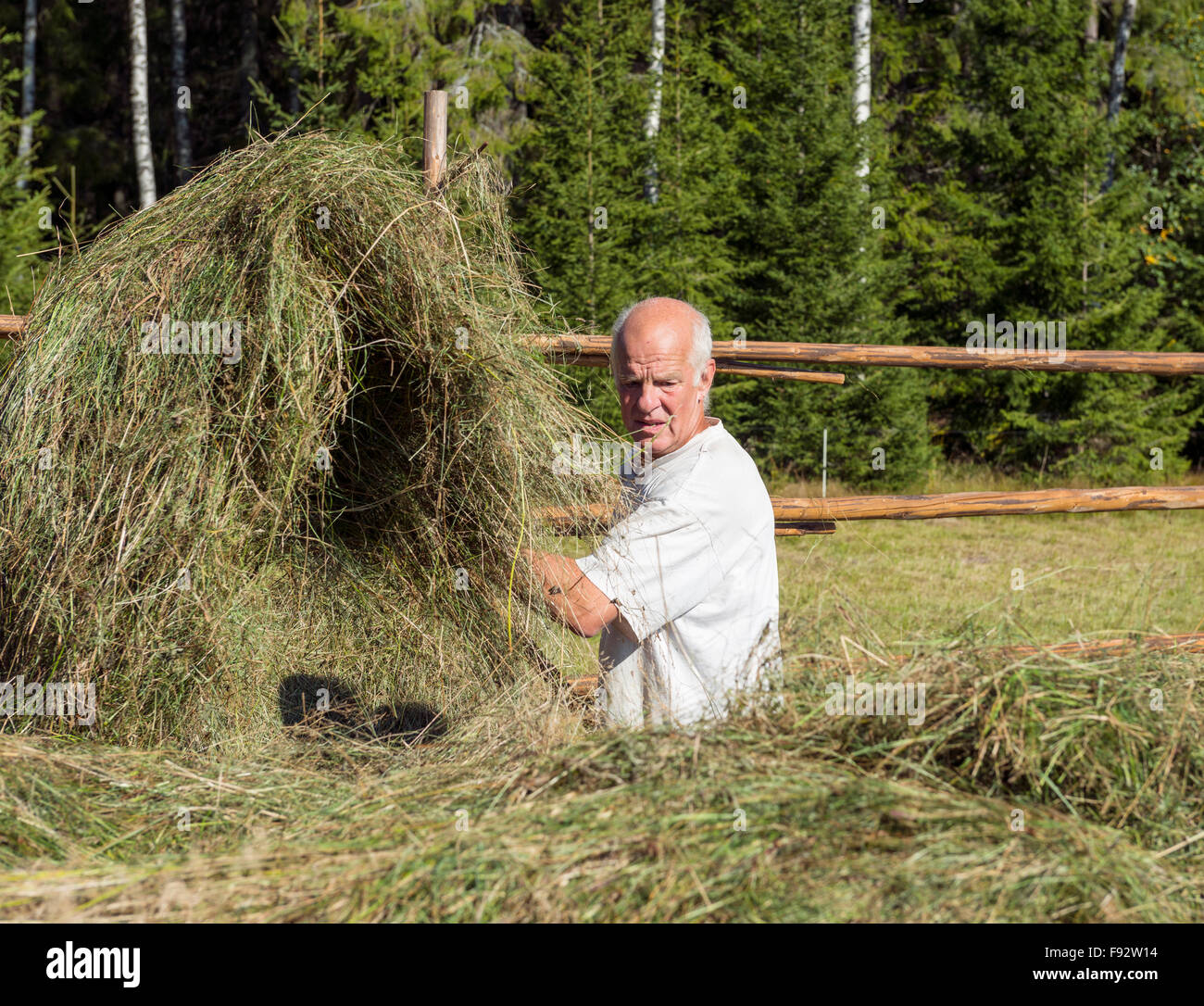 Hay drying rack hi-res stock photography and images - Alamy