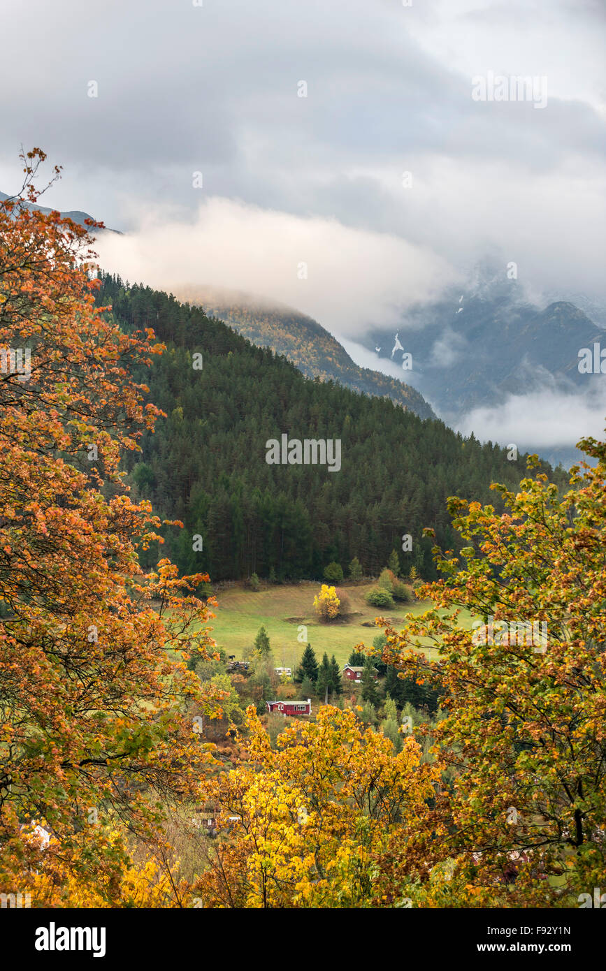 Fall colors in the mountains norway hi-res stock photography and images ...