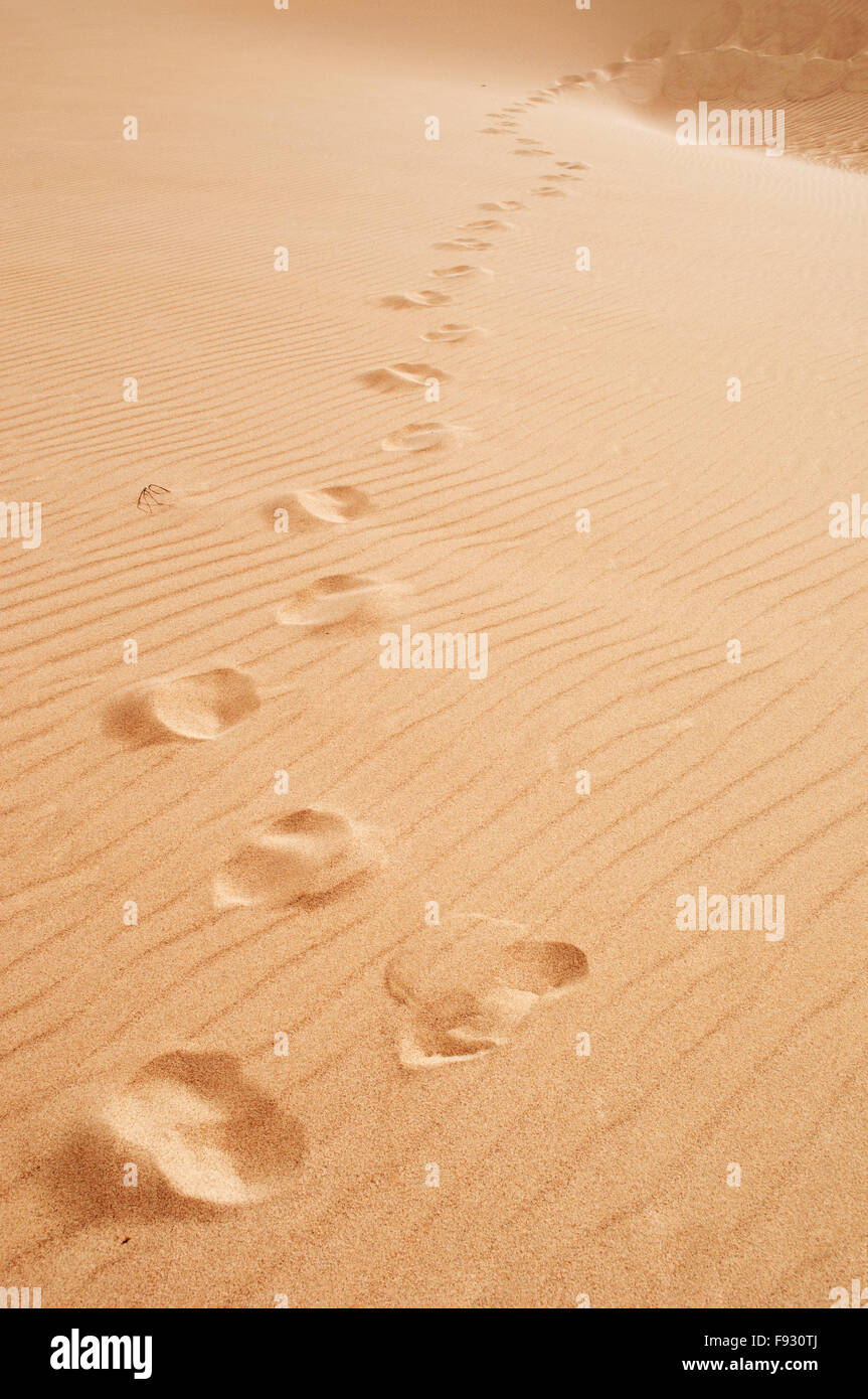 Barefoot footprints hi-res stock photography and images - Alamy
