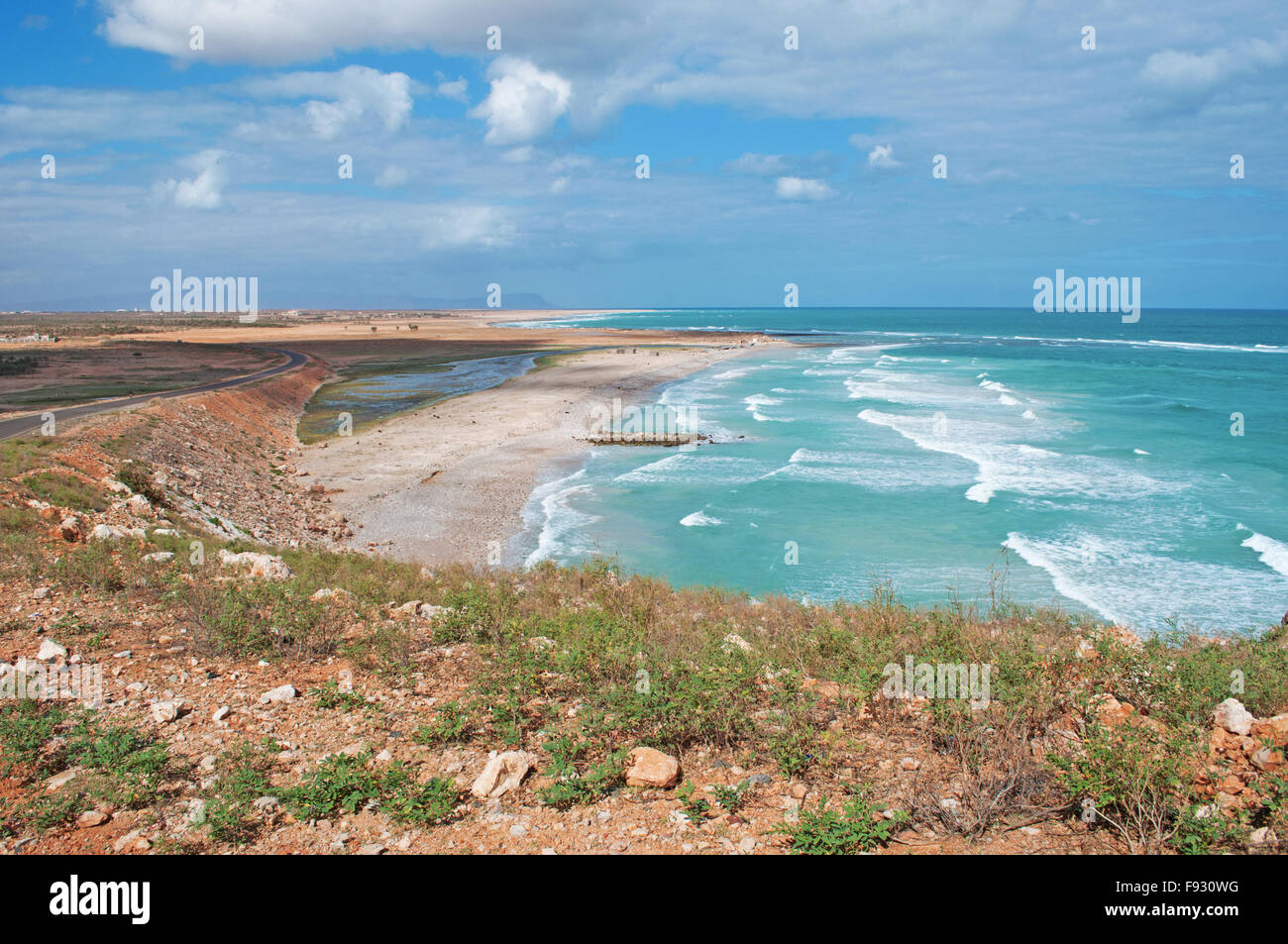 Socotra, Yemen, Middle East: Arabian Sea, rocks, cliffs, tree and beach ...