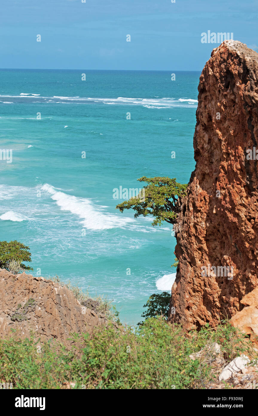 Socotra, Yemen, Middle East: Arabian Sea, rocks, cliffs, tree and beach ...