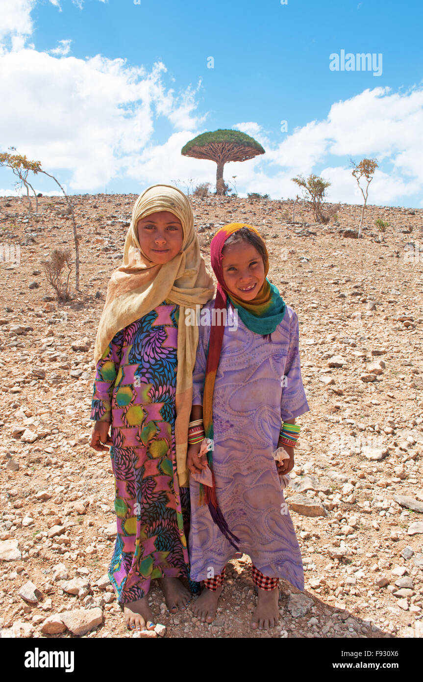 Socotra, Yemen, Middle East: yemeni girls and a Dragon Blood tree in ...