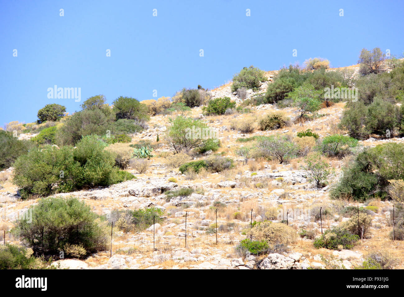 Mount Olympus - highest peak in Greece Stock Photo - Alamy