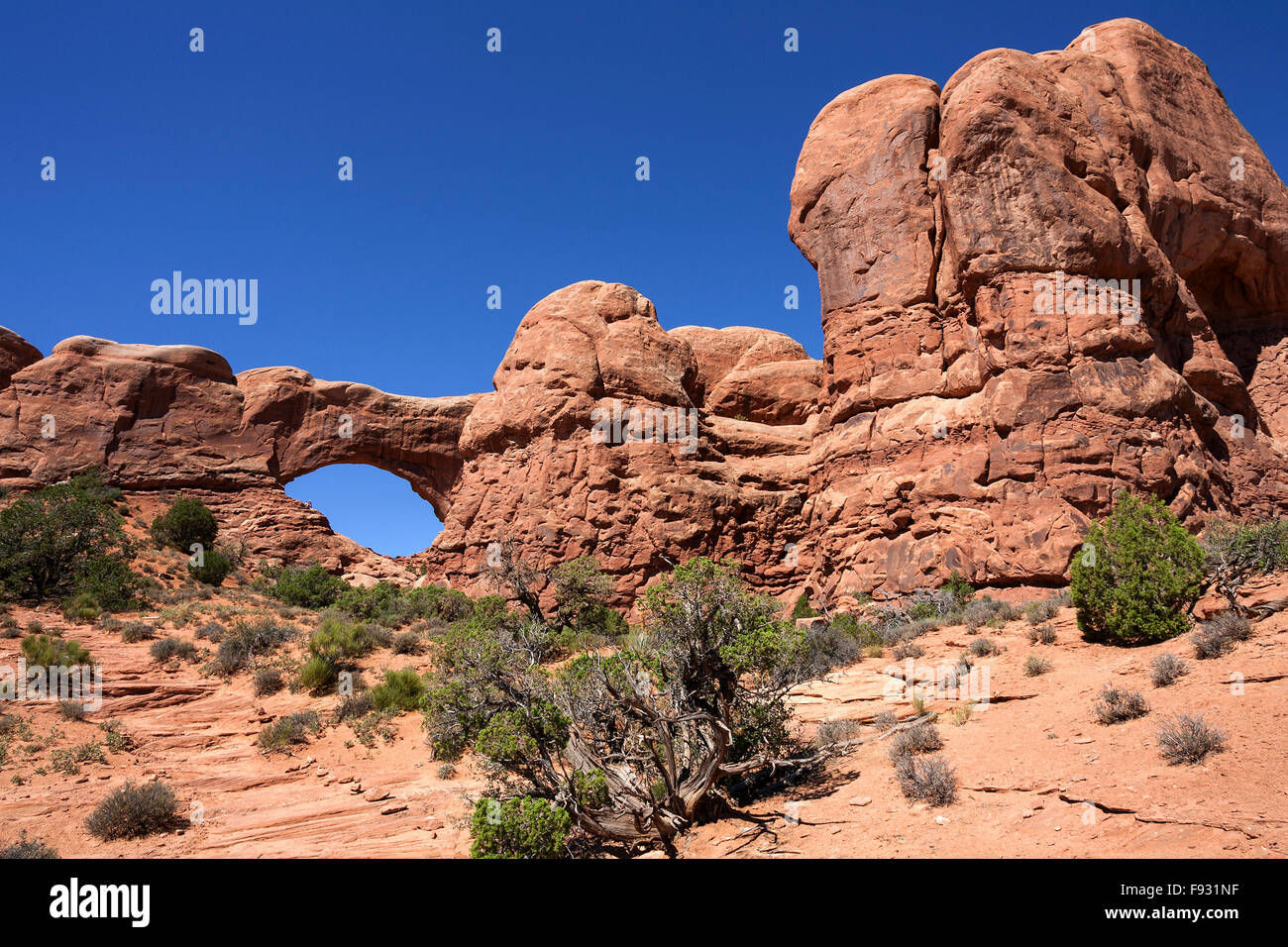 Selection of windows hi-res stock photography and images - Alamy