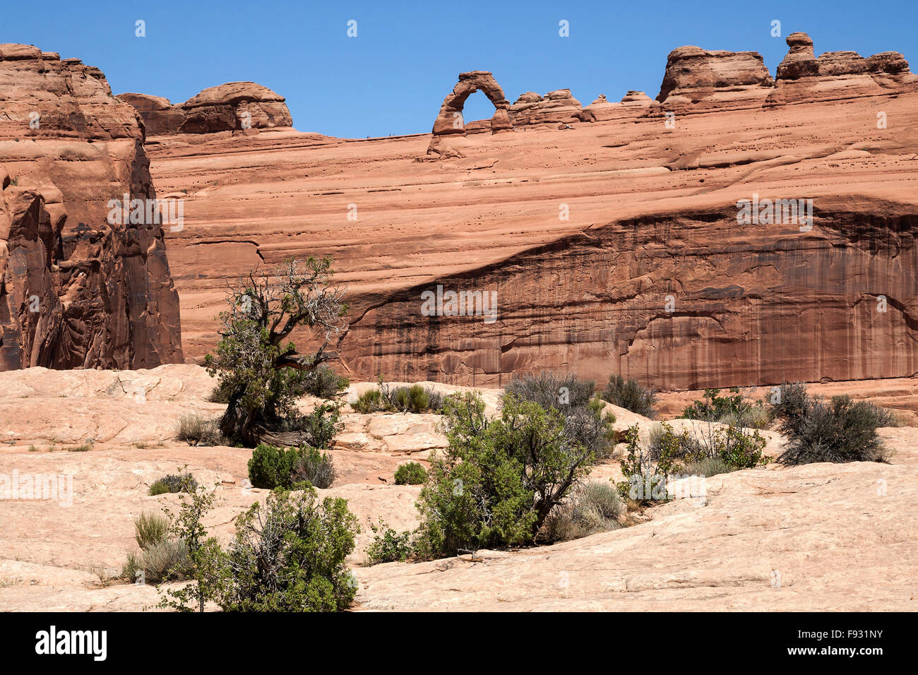 Arches National Park Delicate Arch Viewpoint