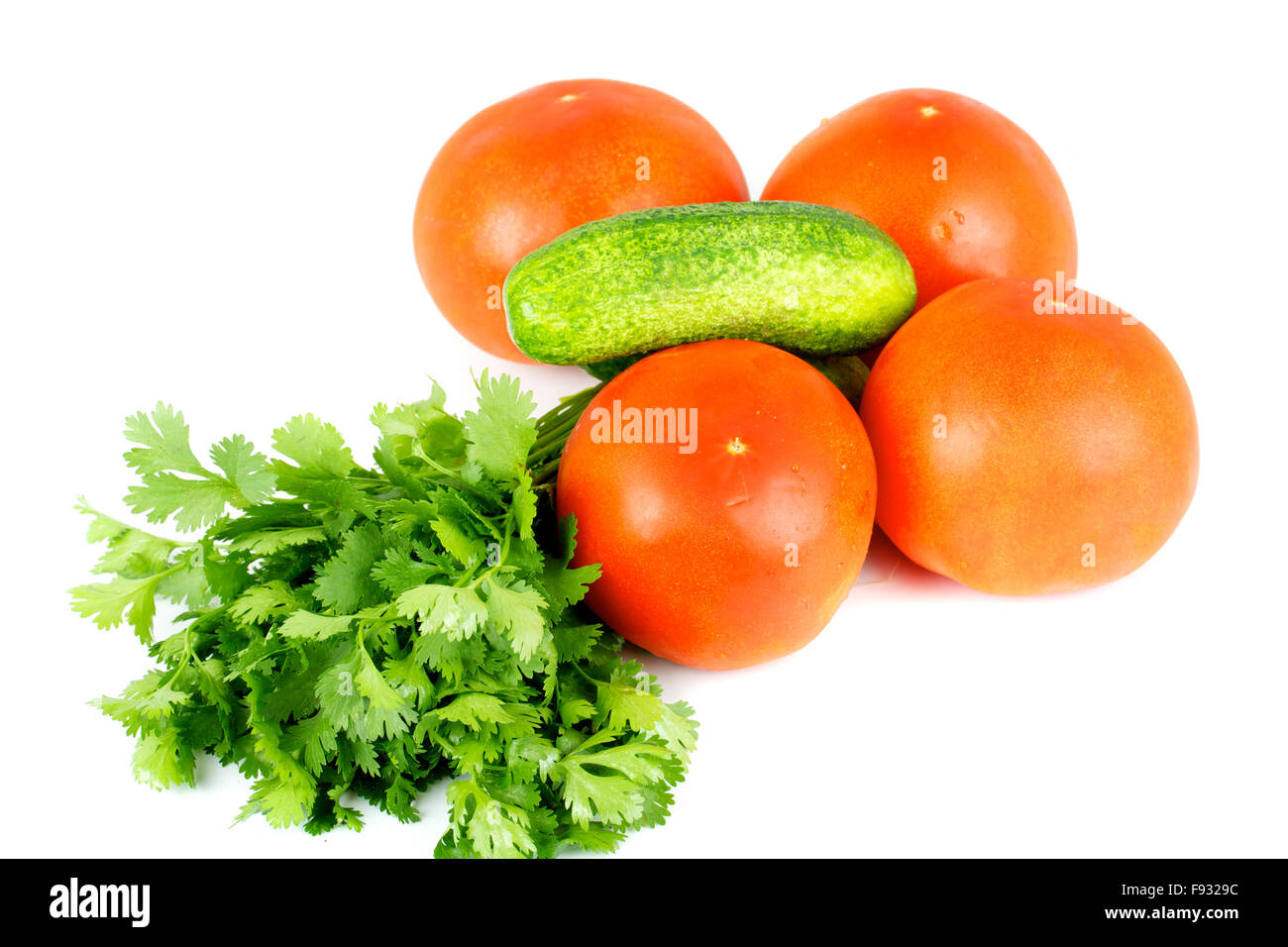 Tomato and cucumber with green coriandr Stock Photo - Alamy