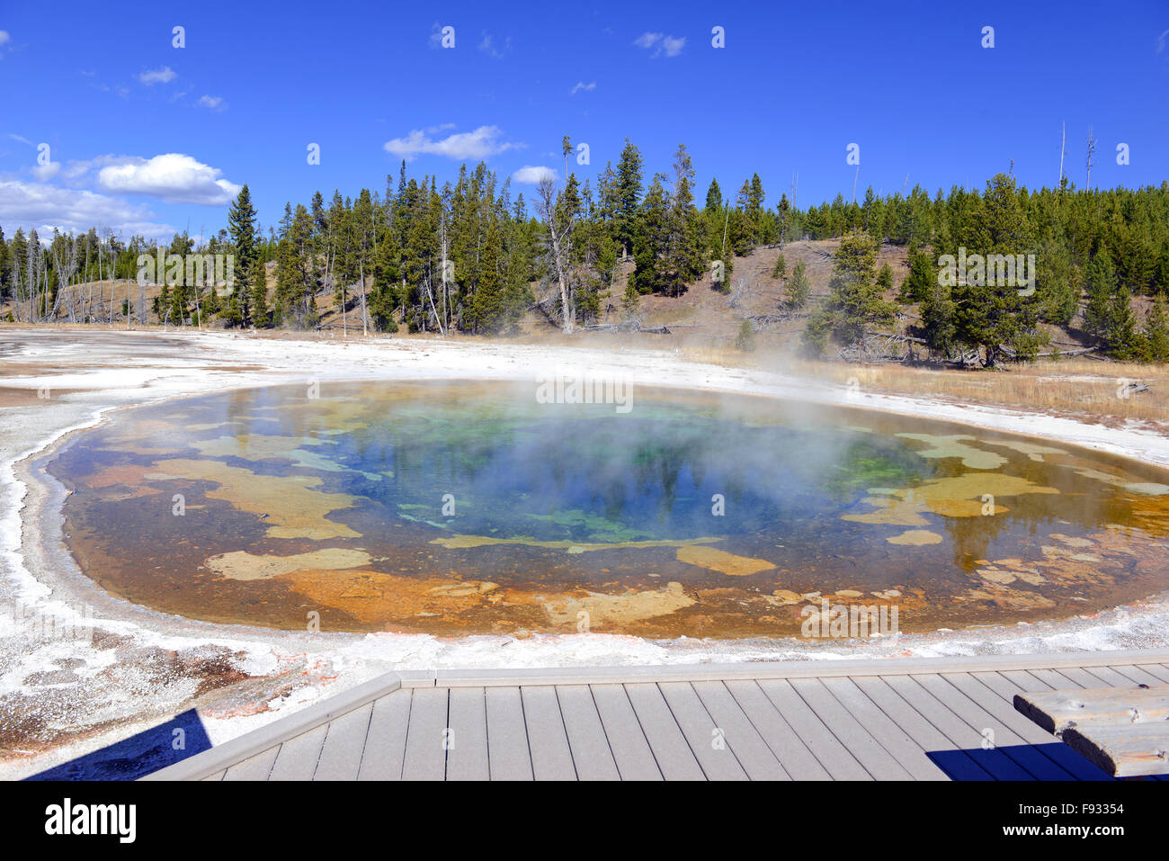Boardwalk in Yellowstone National Park, Wyoming, USA Stock Photo - Alamy