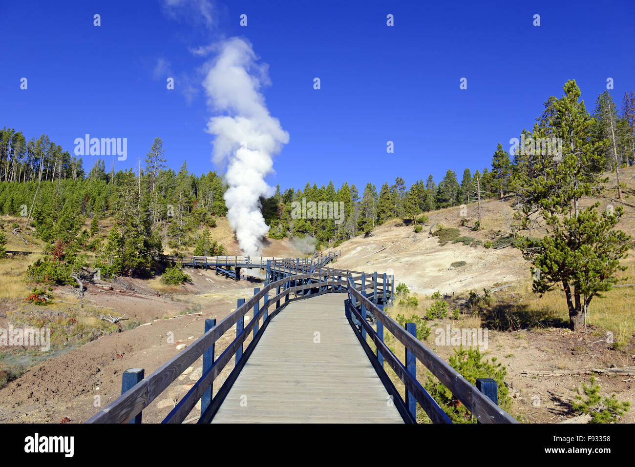 Boardwalk in Yellowstone National Park, Wyoming, USA Stock Photo - Alamy
