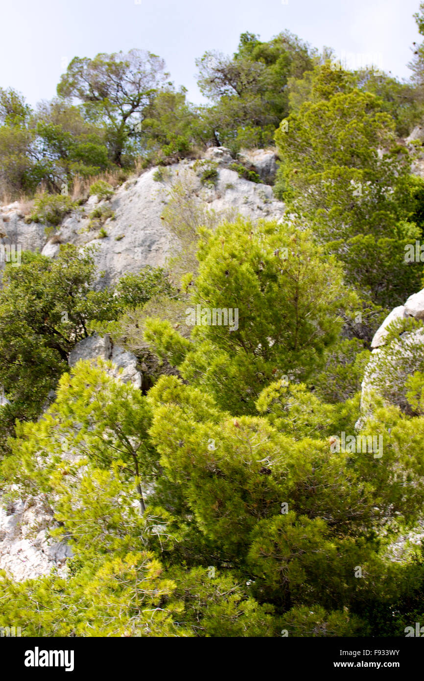 Mount Olympus - highest peak in Greece Stock Photo - Alamy