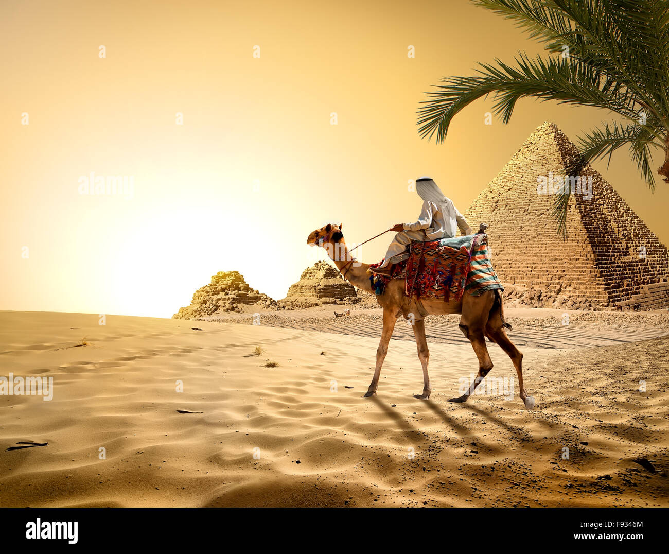 Camel near pyramids in hot desert of Egypt Stock Photo - Alamy