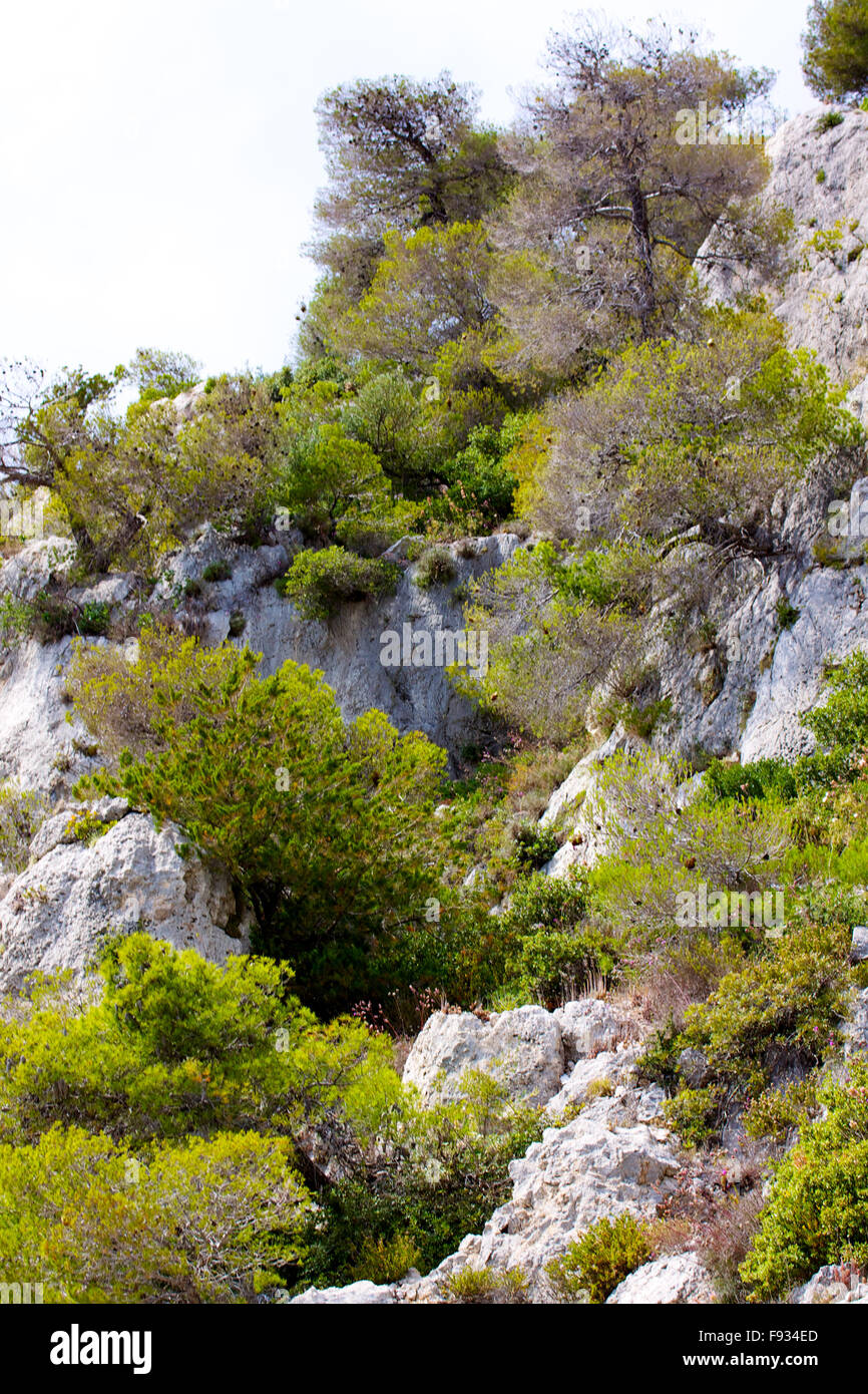 Mount Olympus - highest peak in Greece Stock Photo - Alamy