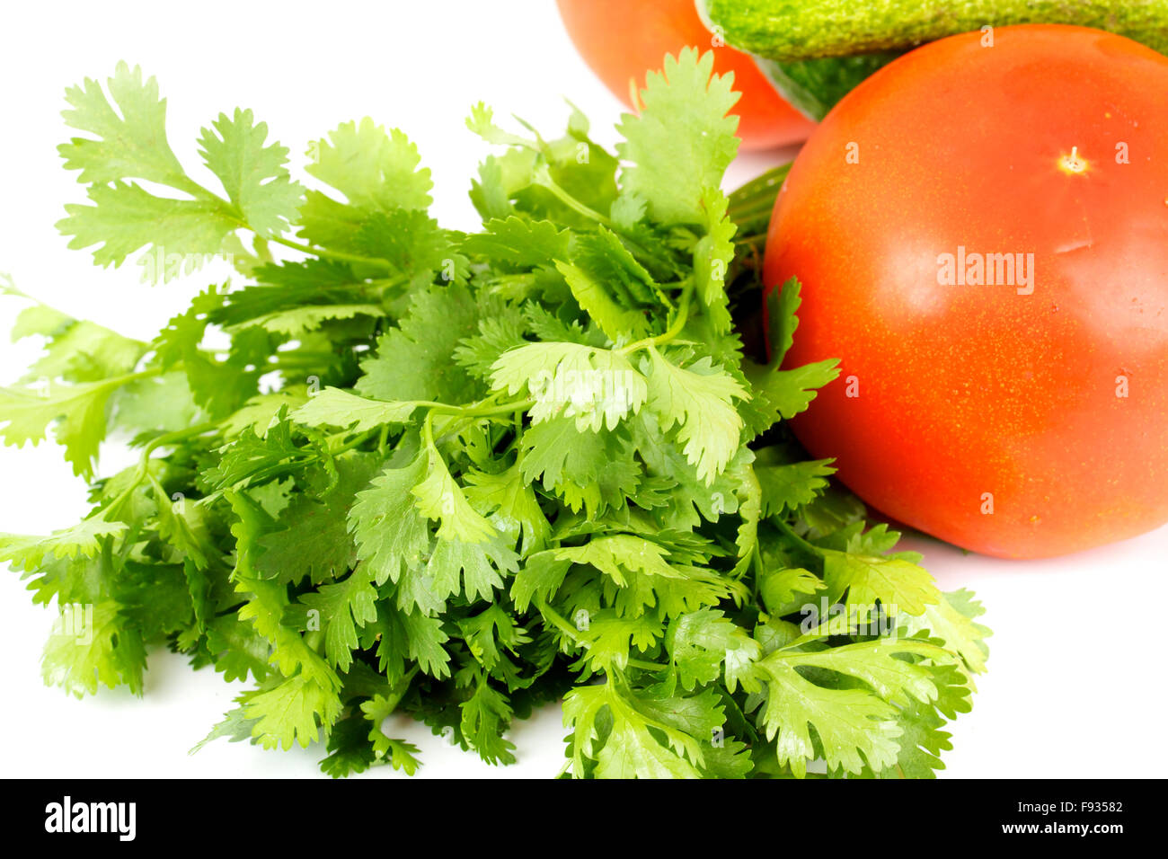 Tomato and cucumber with green coriandr Stock Photo - Alamy