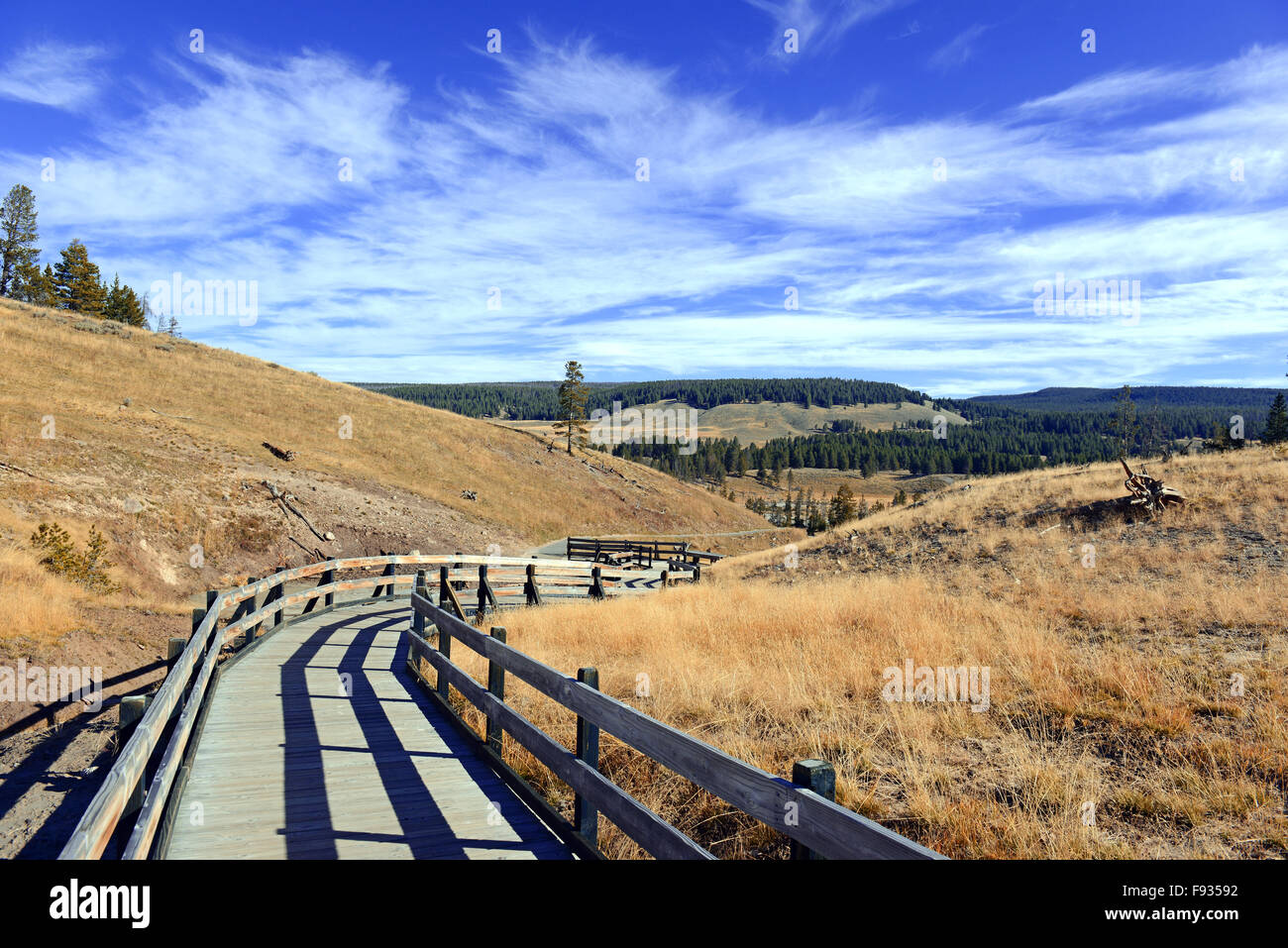 Boardwalk in Yellowstone National Park, Wyoming, USA Stock Photo - Alamy