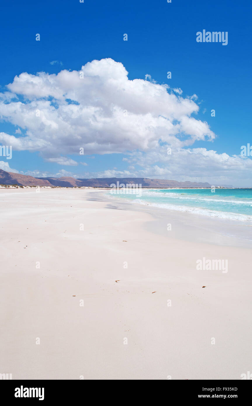 The protected area of Aomak beach, Gulf of Aden, Arabian Sea, Socotra ...