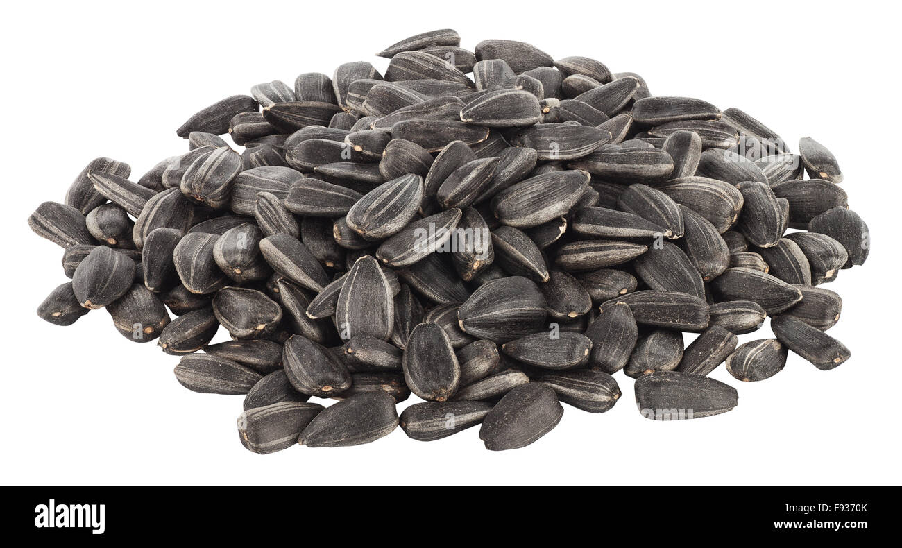 pile of sunflower seeds isolated on white background Stock Photo - Alamy