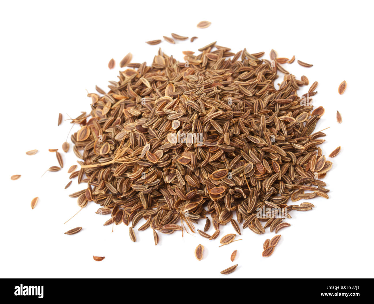 pile dill seeds on white background Stock Photo - Alamy