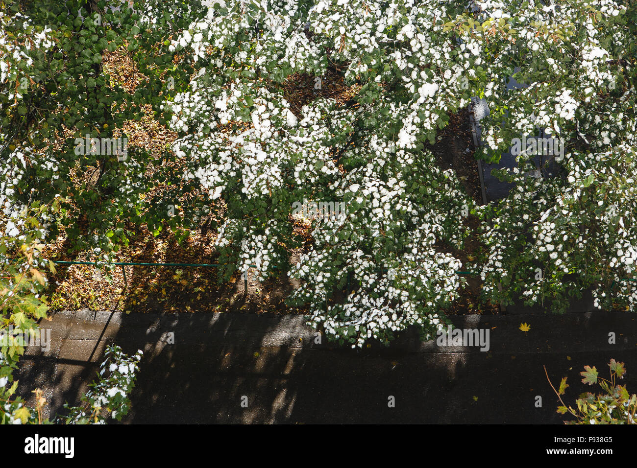 The first snow hi-res stock photography and images - Alamy