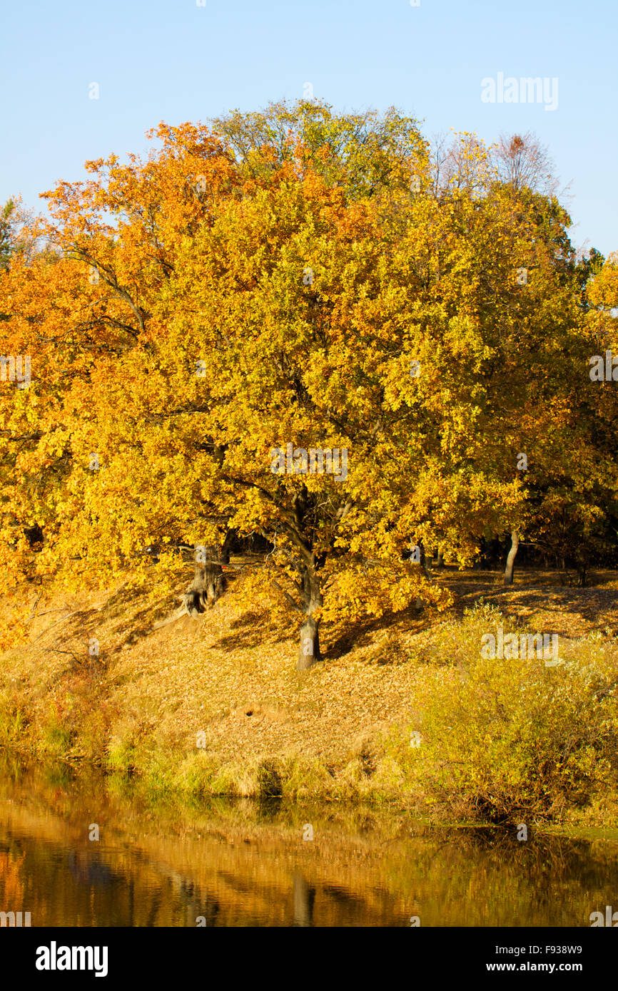 Colorful autumn trees fortress at the river front Stock Photo - Alamy