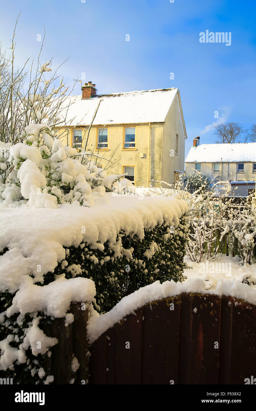 Beautiful winter landscape with houses covered with snow Stock Photo ...