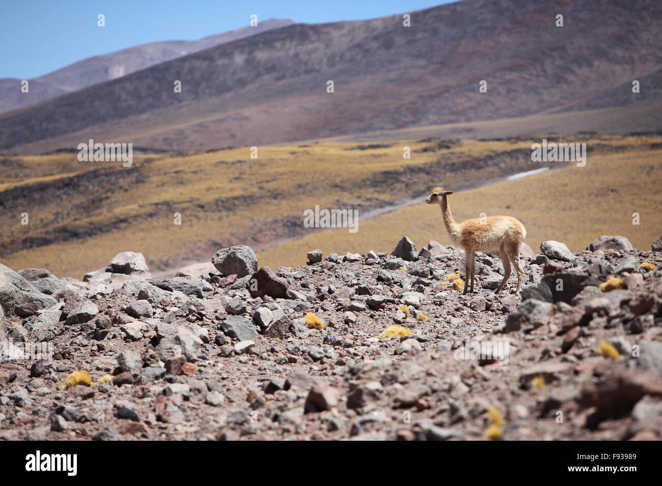 Argentina chile border andes mountains hi-res stock photography and ...