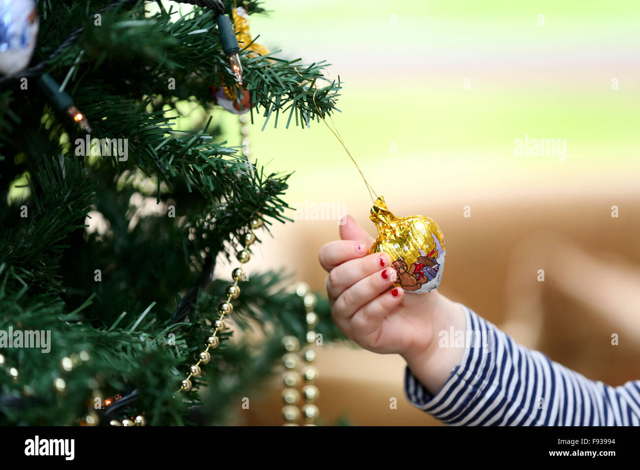A child pulling a chocolate Christmas Tree decoration from a decortaed ...