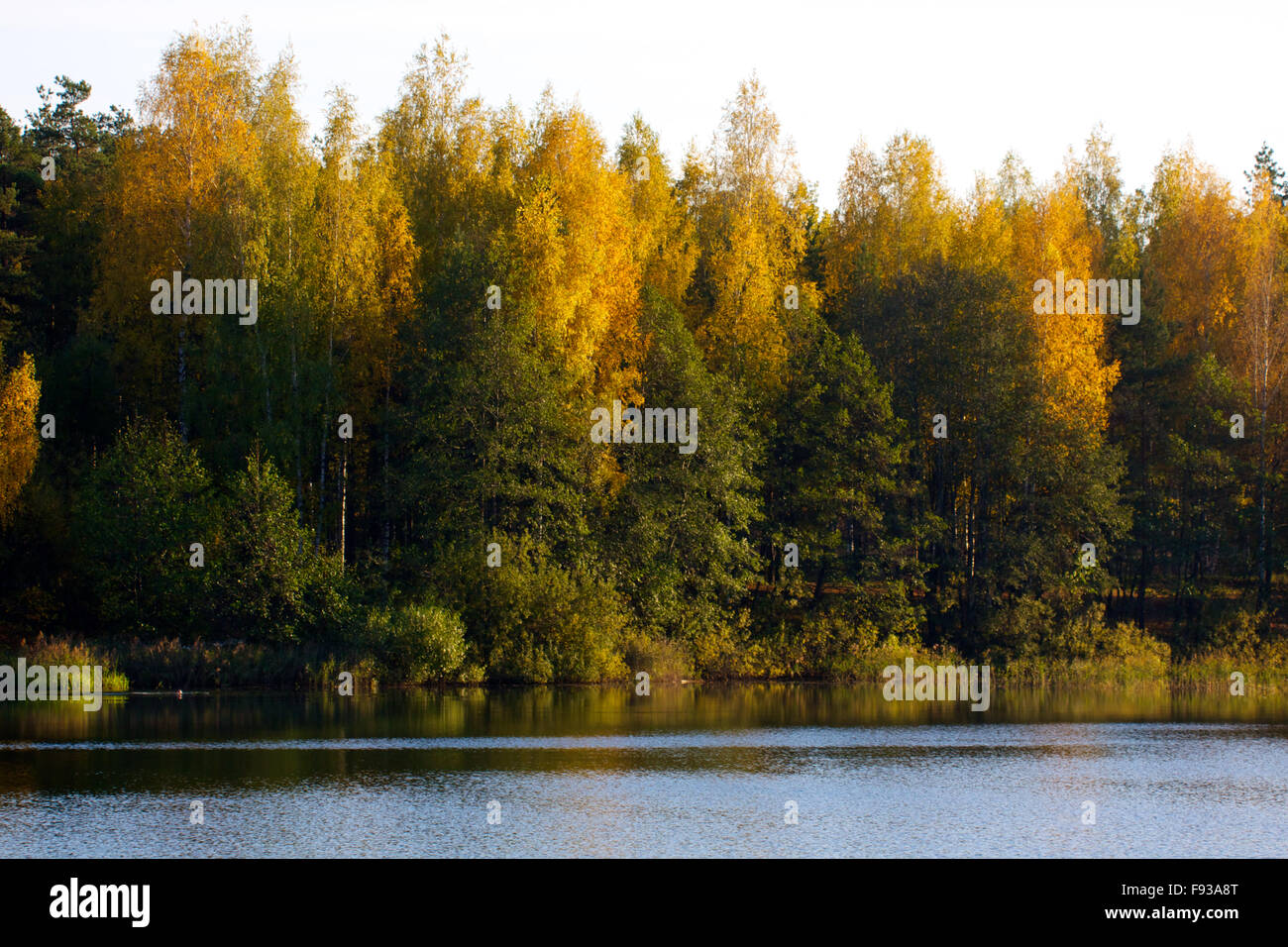 Colorful autumn trees fortress at the river front Stock Photo - Alamy