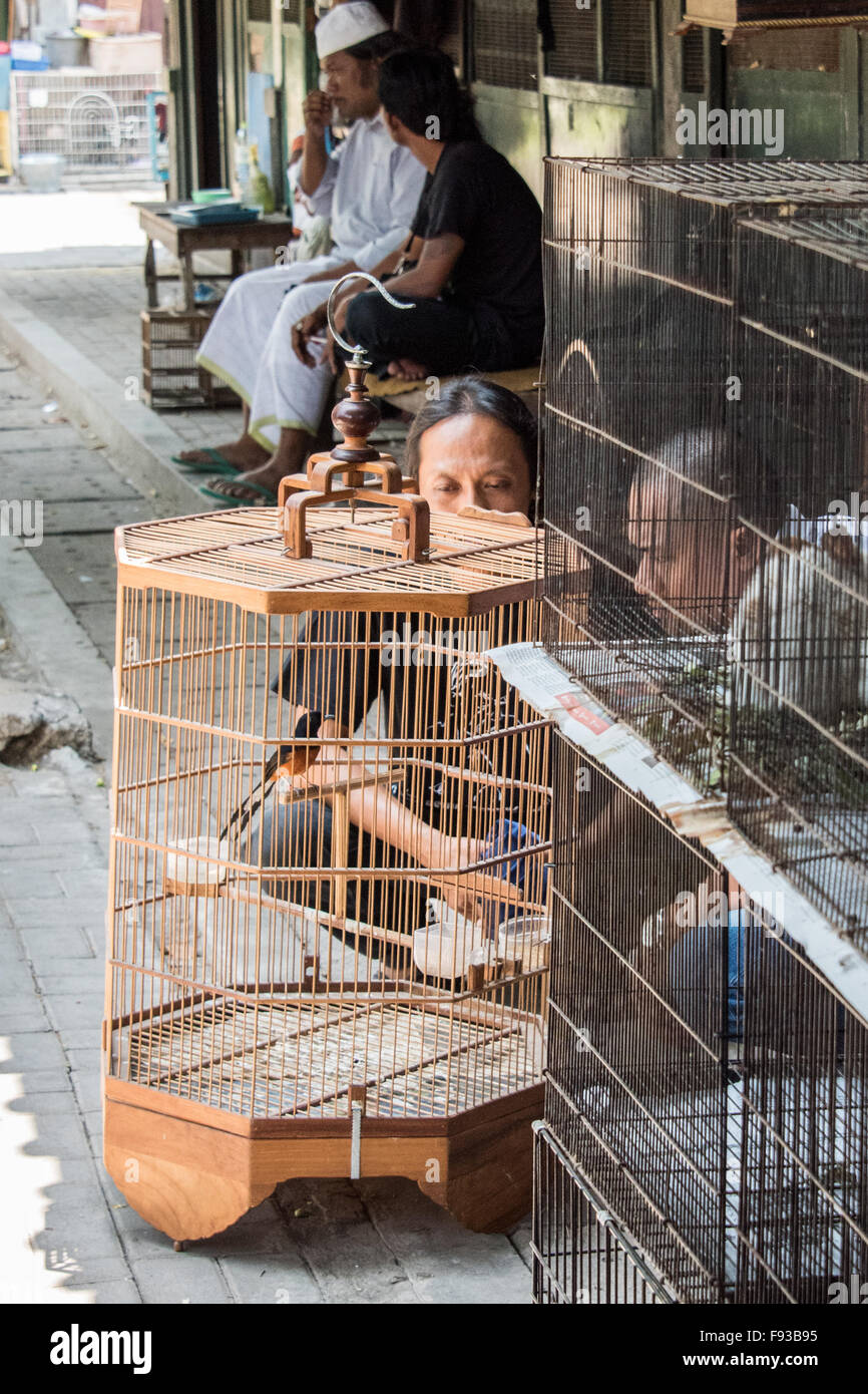 Trading Birds at Pasar Ngasem Bird Market, Yogyakarta, Java, Indonesia ...