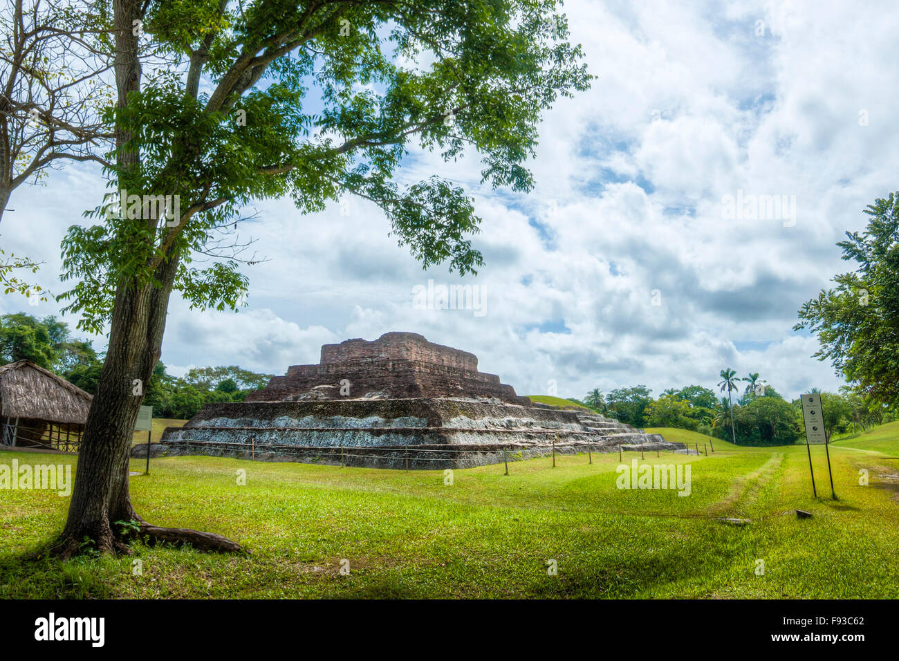 Trees and pyramid at the Mayan ruins of Comalcalco, Tabasco, Mexico ...