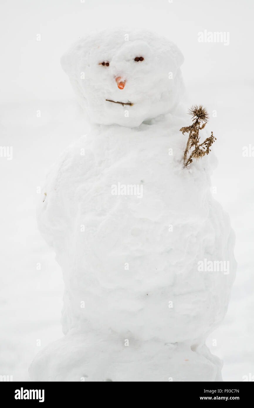 Ugly snowman hi-res stock photography and images - Alamy