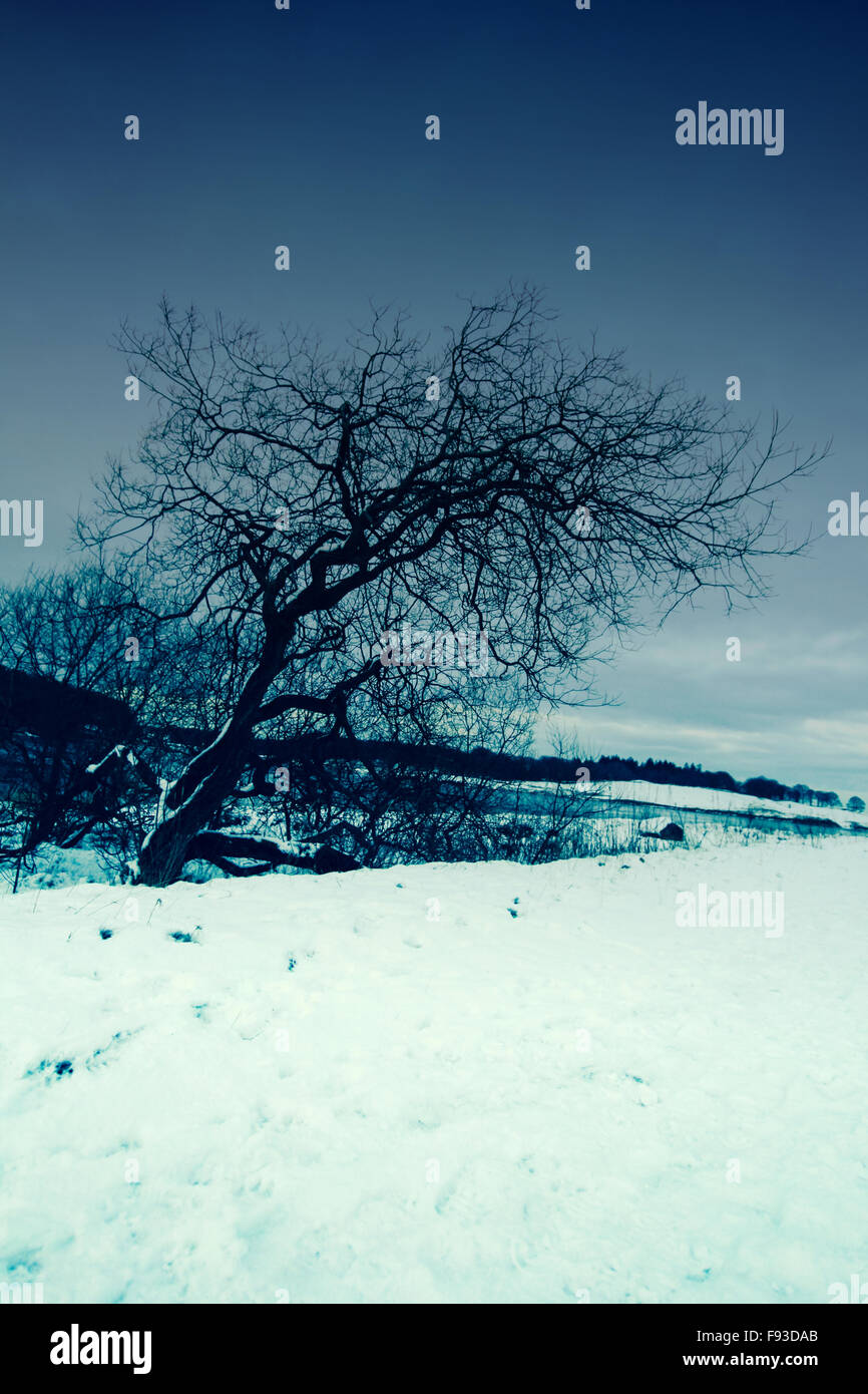 Dark wintery night hi-res stock photography and images - Alamy