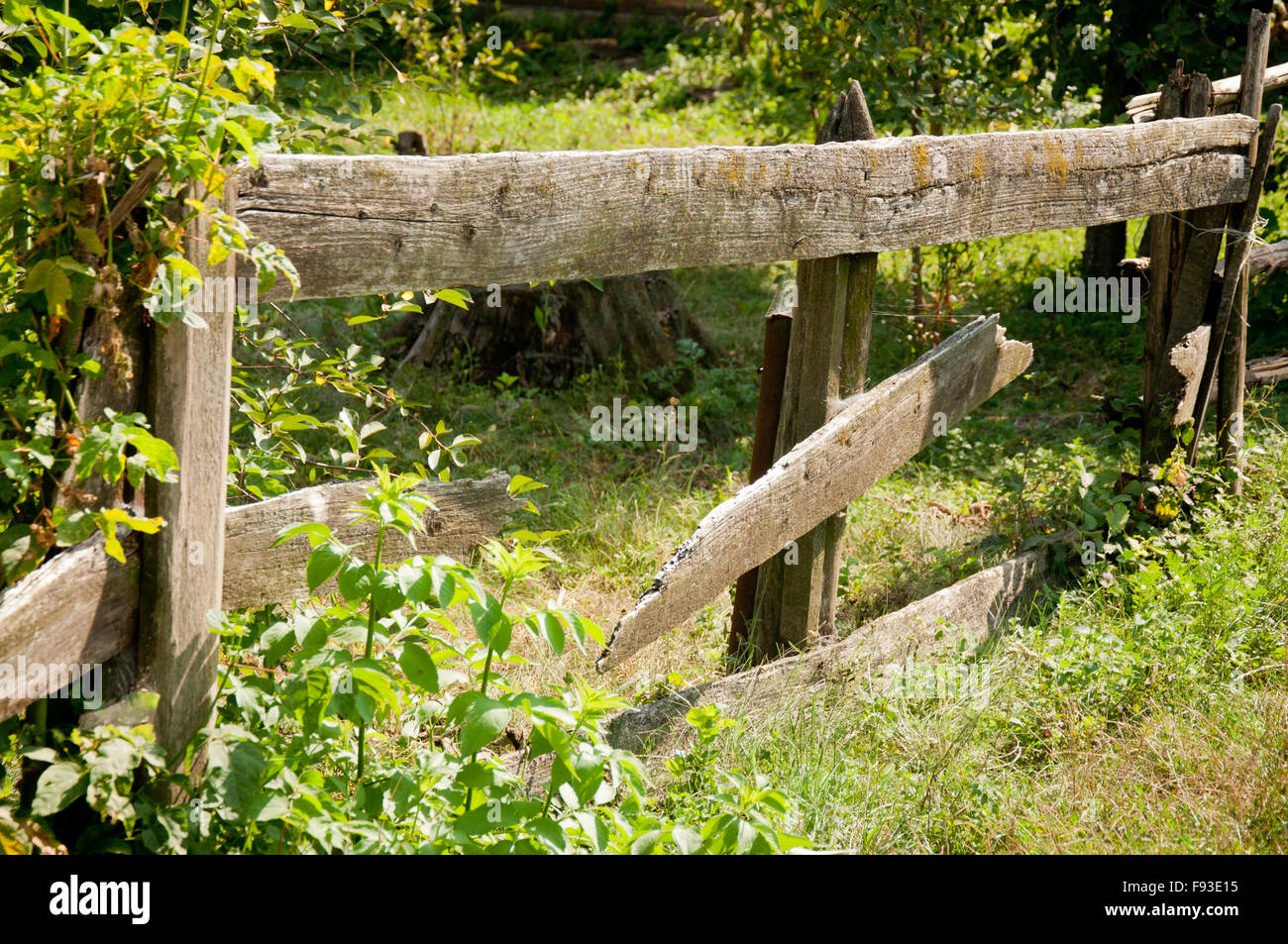 Detail of a old wooden palisade in the green grass and bush Stock Photo ...