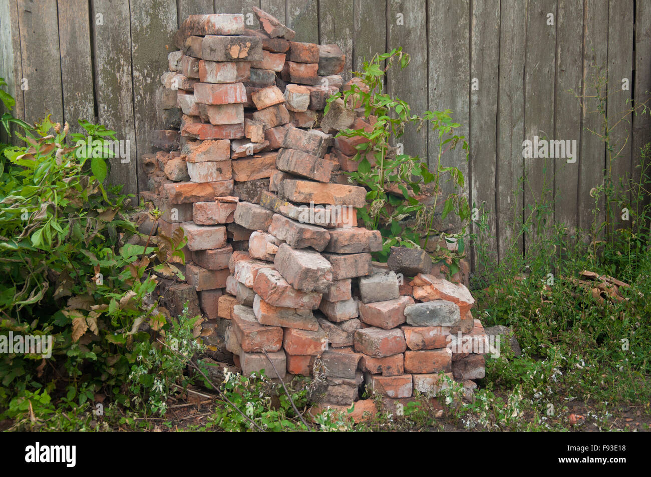 Stack of old bricks in green bushes on the brown wooden fence ...