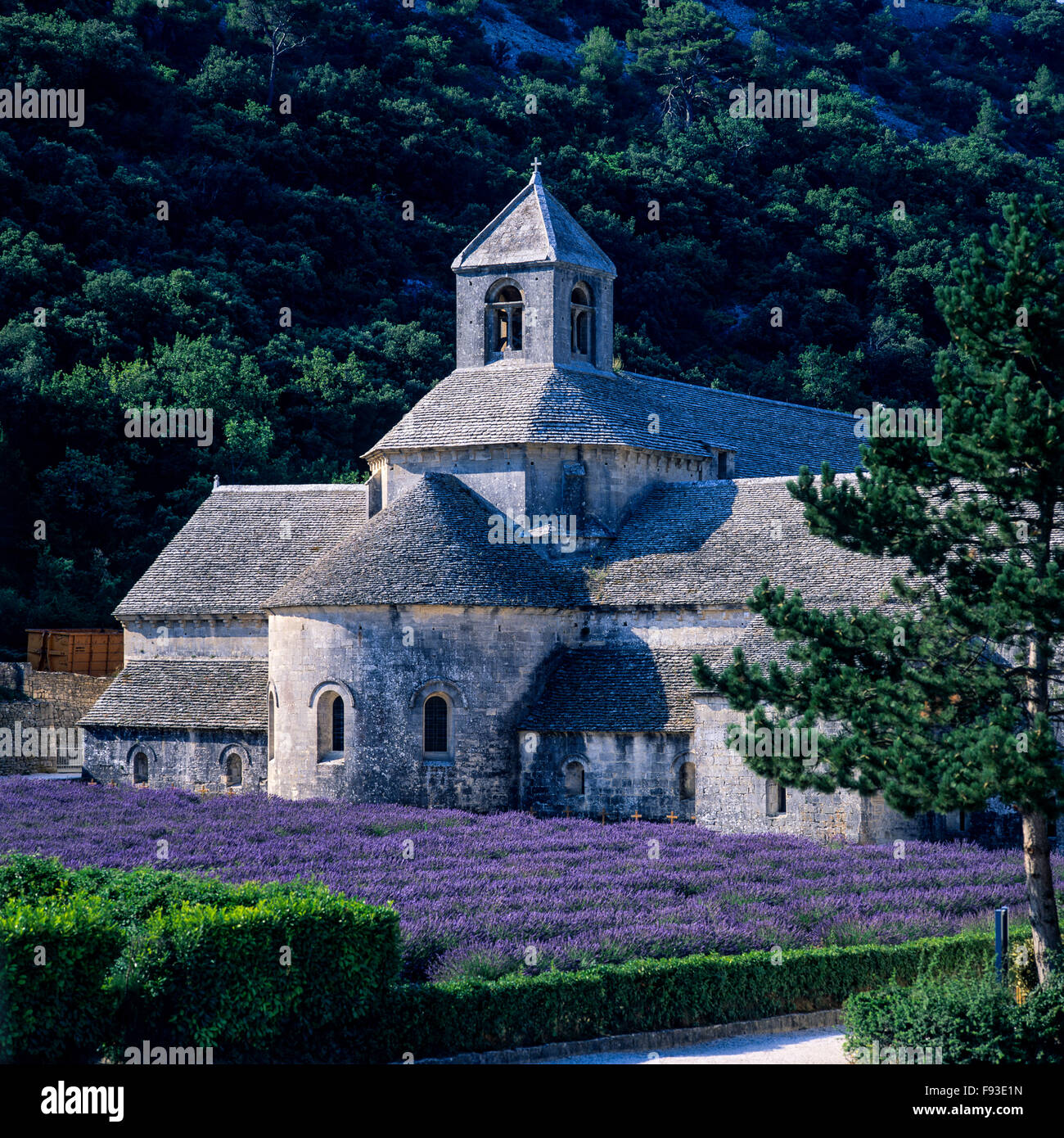 Cultivation 12th century hi-res stock photography and images - Alamy