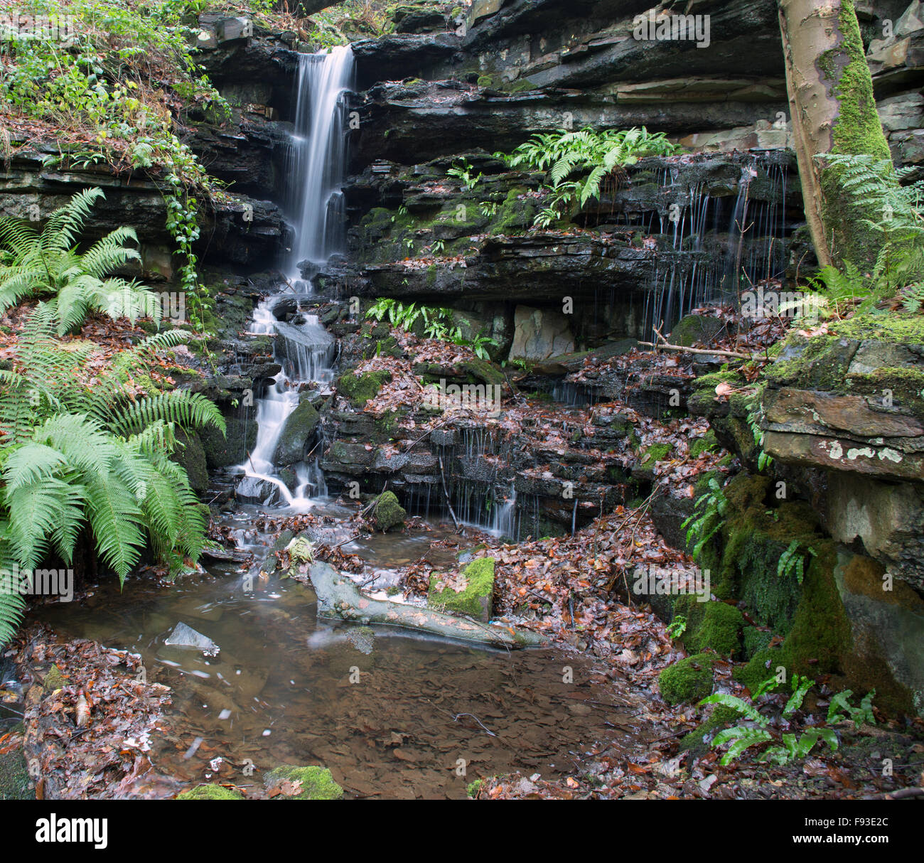 “The Ravine” Rivington Gardens near Chorley, Horwich, Bolton, Adlington ...