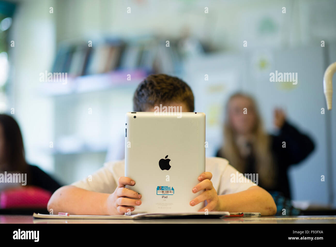 Secondary education Wales UK: GCSE student pupils using information ...