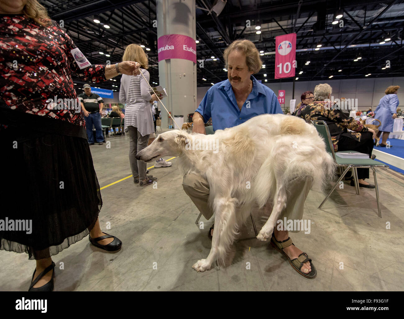 Orlando, Florida, USA. 12th Dec, 2015. MIKE MICHALAK's Borzoi fancies ...