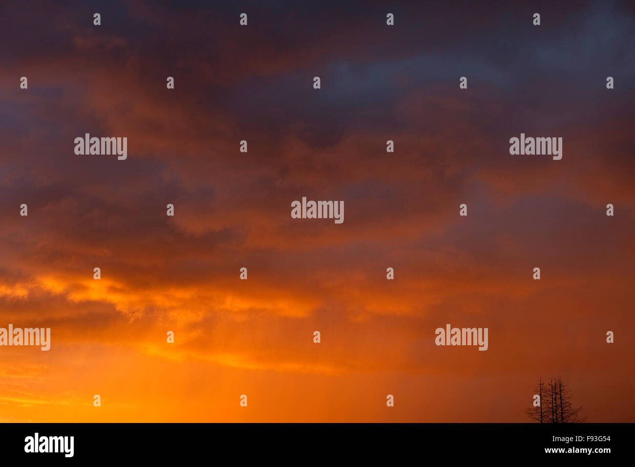 Storm clouds gathering for stormy weather with rain and wind ...