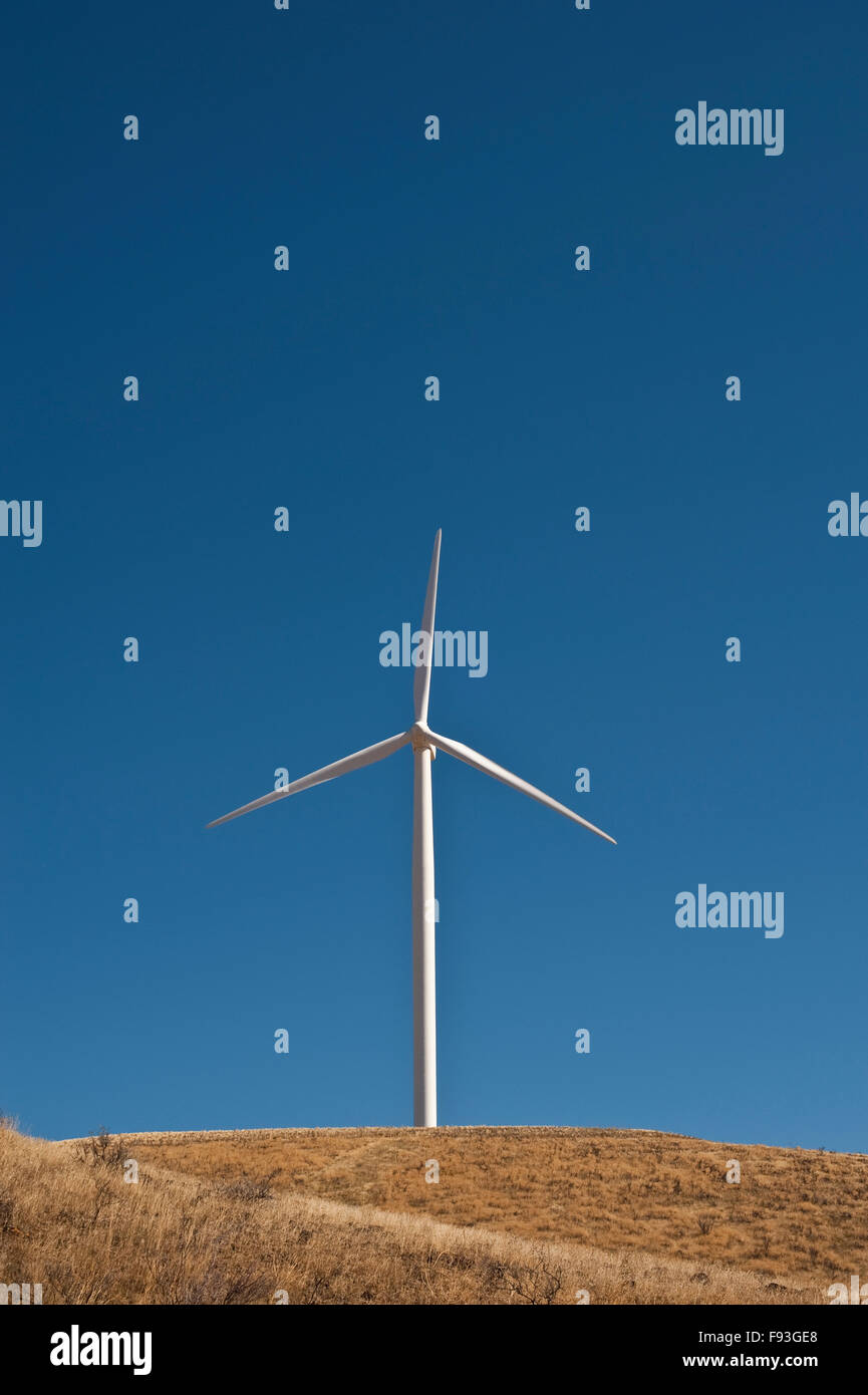 Wind machines, turbine farm in Eastern Washington Stock Photo - Alamy